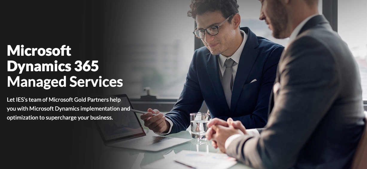 SingleStone - Best 17 Microsoft Dynamics 365 Partners & Consulting Firms in 2026